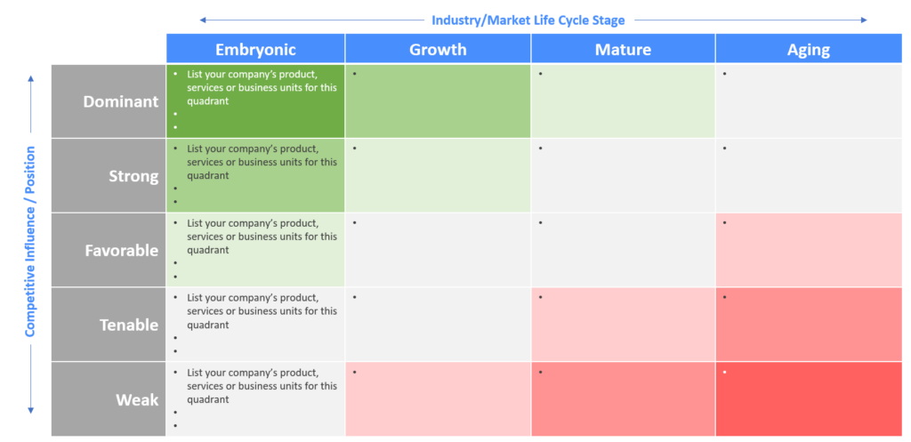 ADL Matrix Template for Business Strategy
